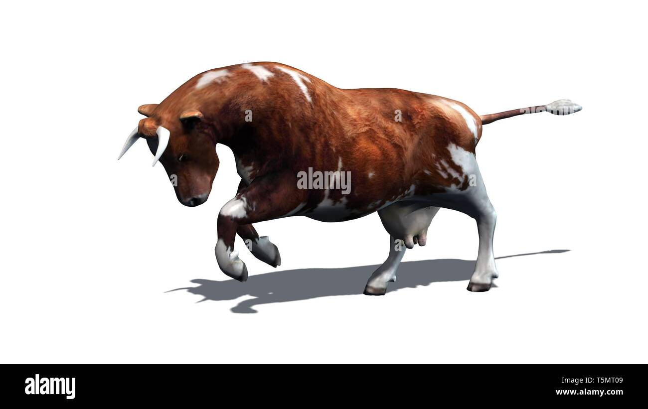 Attacking cattle hi-res stock photography and images - Alamy