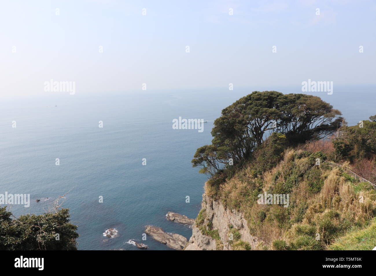 Cats japan island hi-res stock photography and images - Alamy