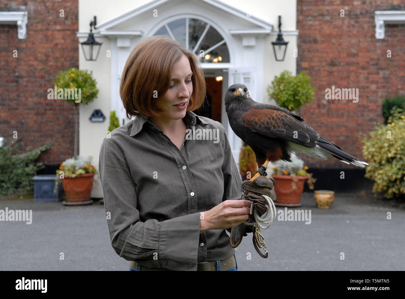 Female woman falconer with Harris Hawk in Britain Uk 2007 Stock Photo ...