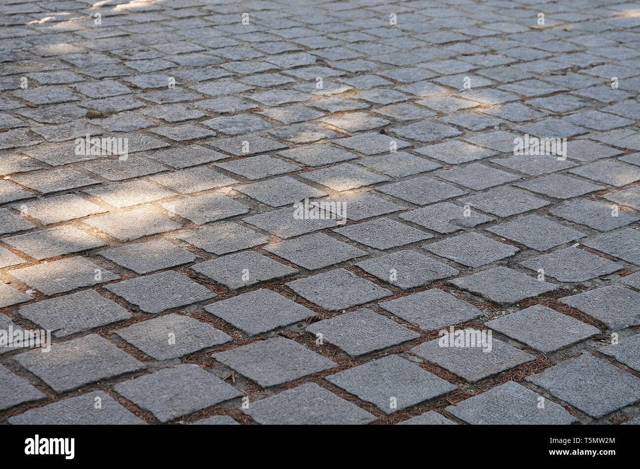 side view to a pavement laid out with rough square sett stones Stock ...