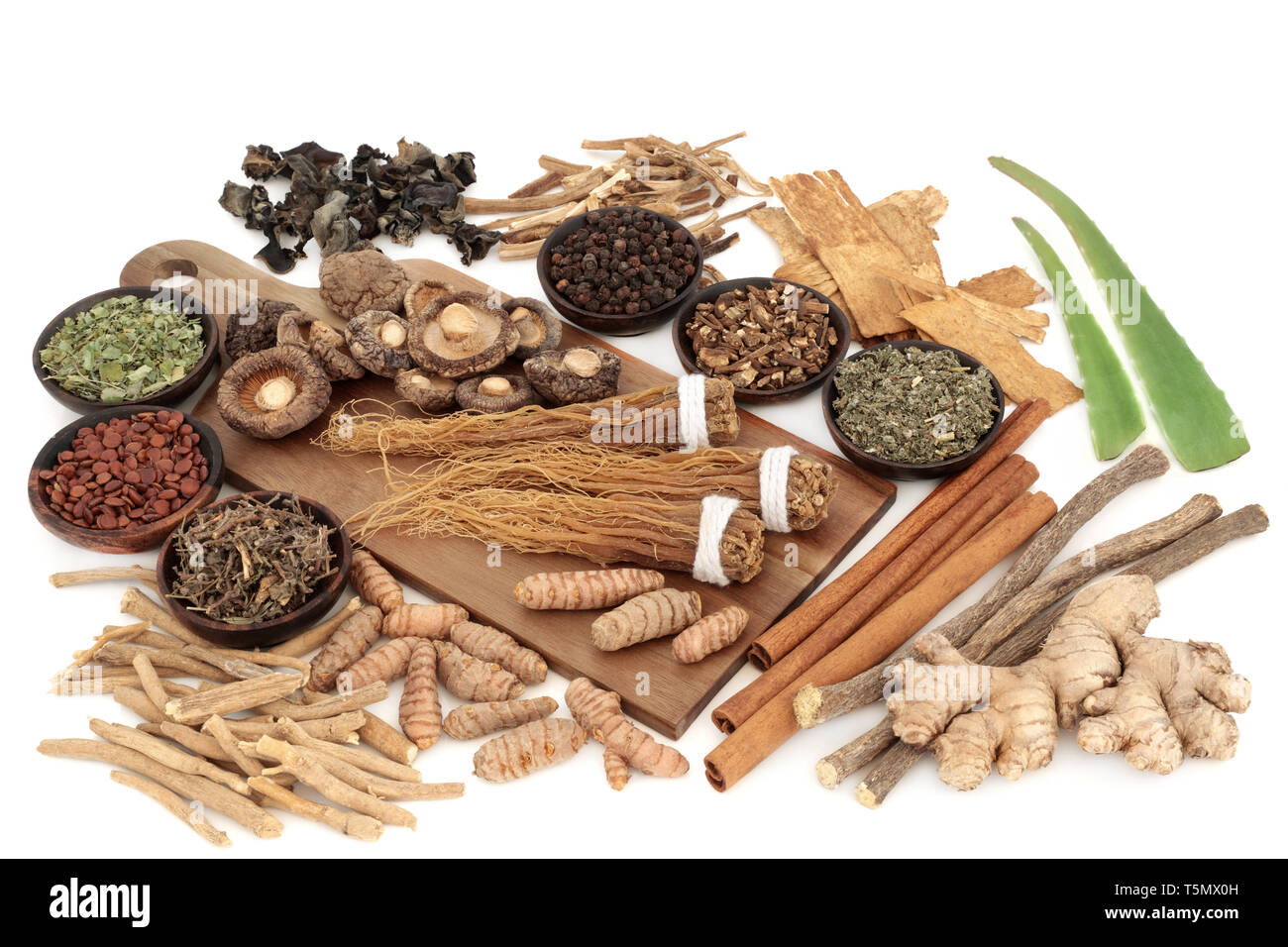 Restorative medicine hi-res stock photography and images - Alamy