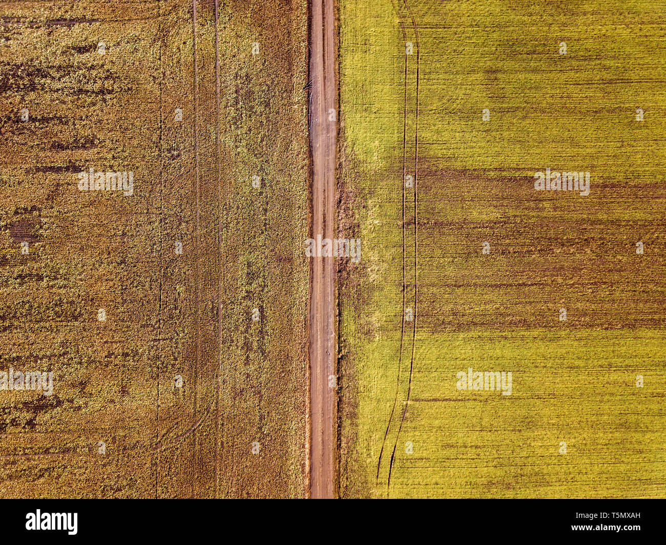 Agricultural landscape from air. Straight narrow ground road between ...