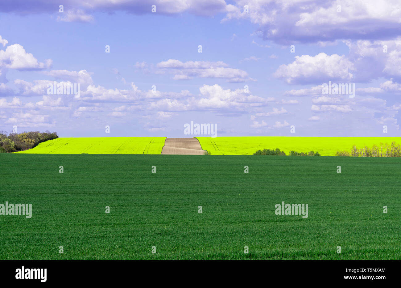 Hungary spring nature photos Stock Photo - Alamy
