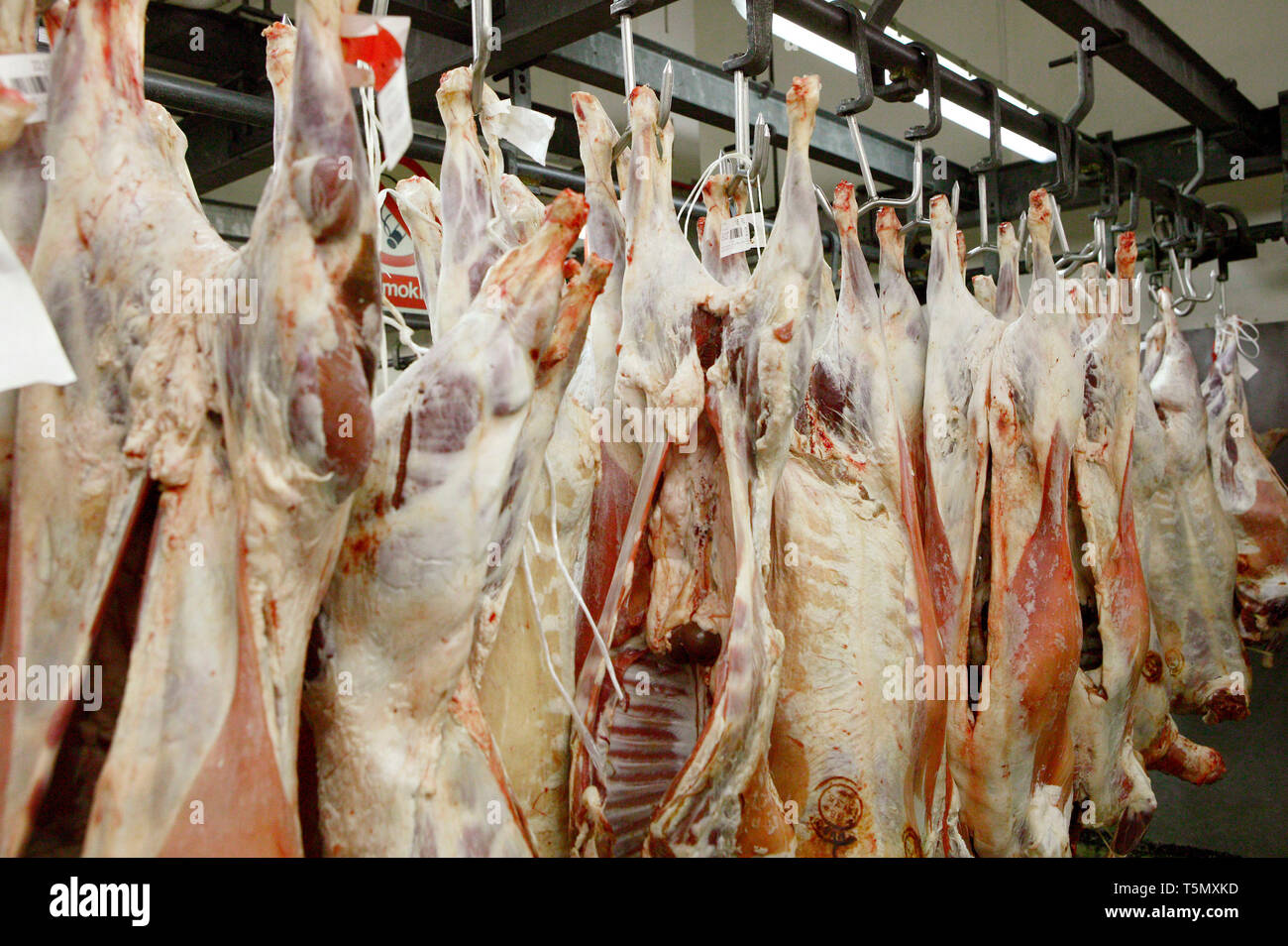 Butchers at work in the meat section of the Birmingham Wholesale Market ...