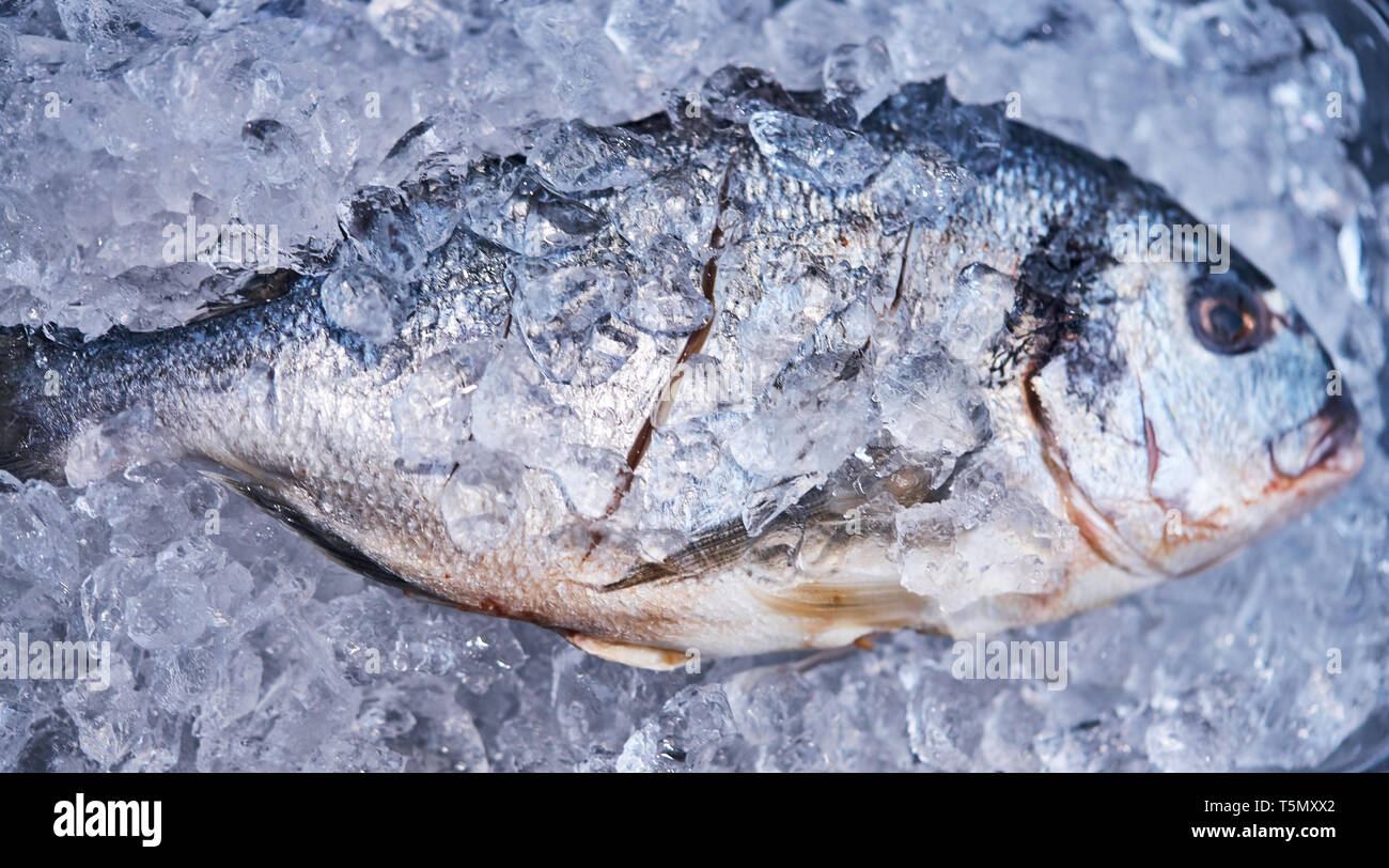 fresh sea fish on crushed ice Stock Photo - Alamy