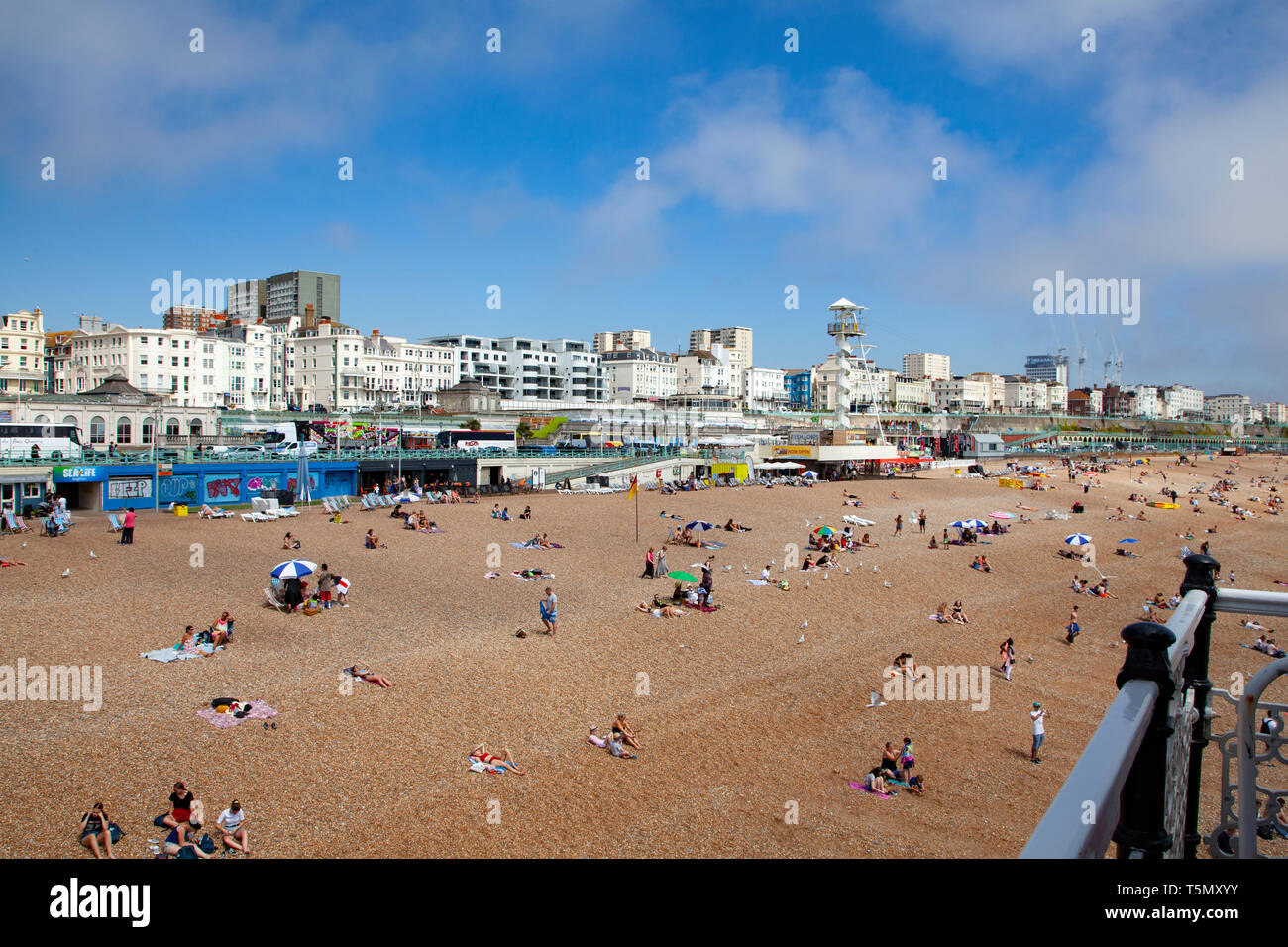 Brighton seafront from the palace pier hi-res stock photography and ...