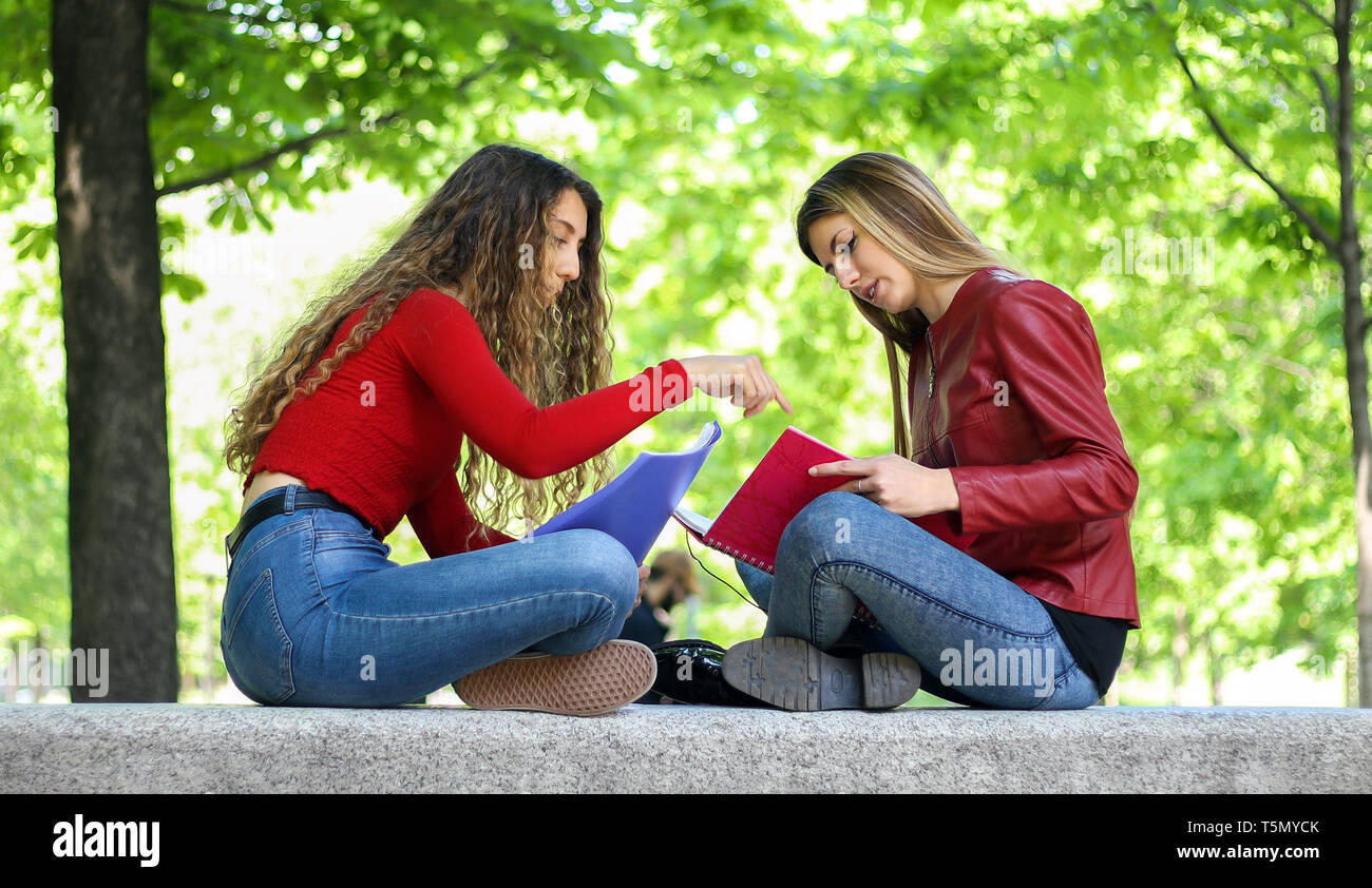 Two students studying together sitting on a bench outdoor Stock Photo ...