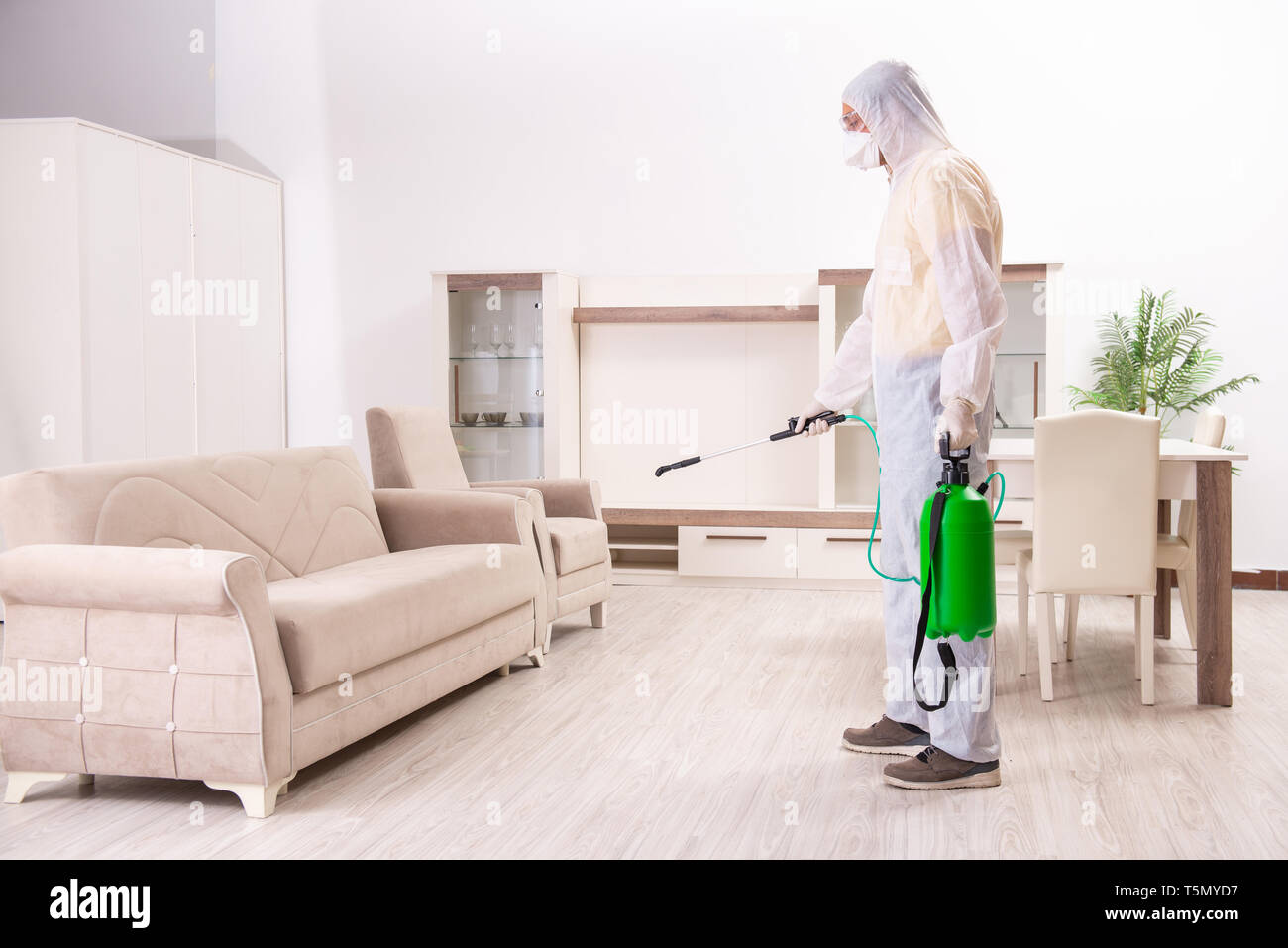 Pest control contractor working in the flat Stock Photo - Alamy