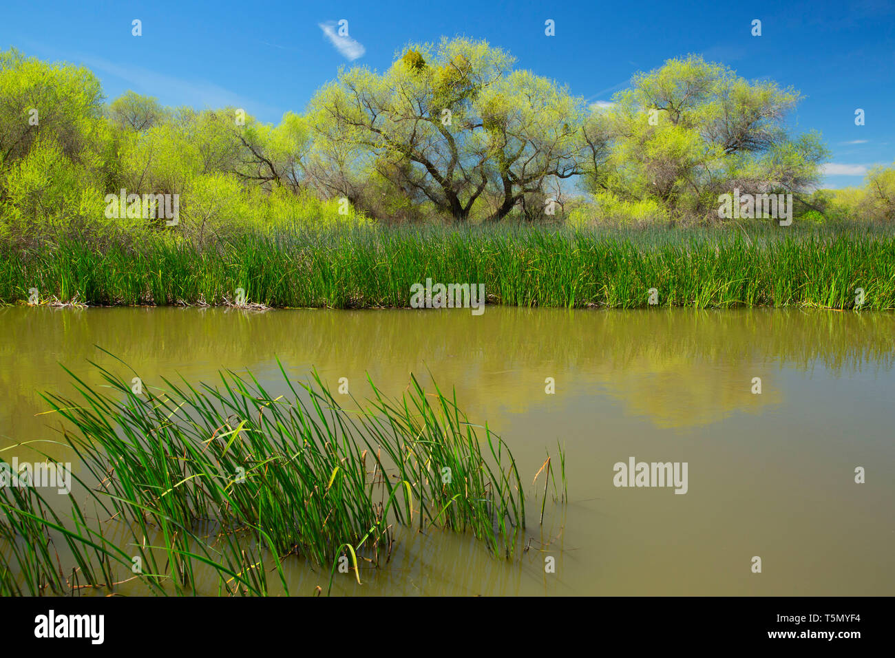 Salt valley road hi-res stock photography and images - Alamy