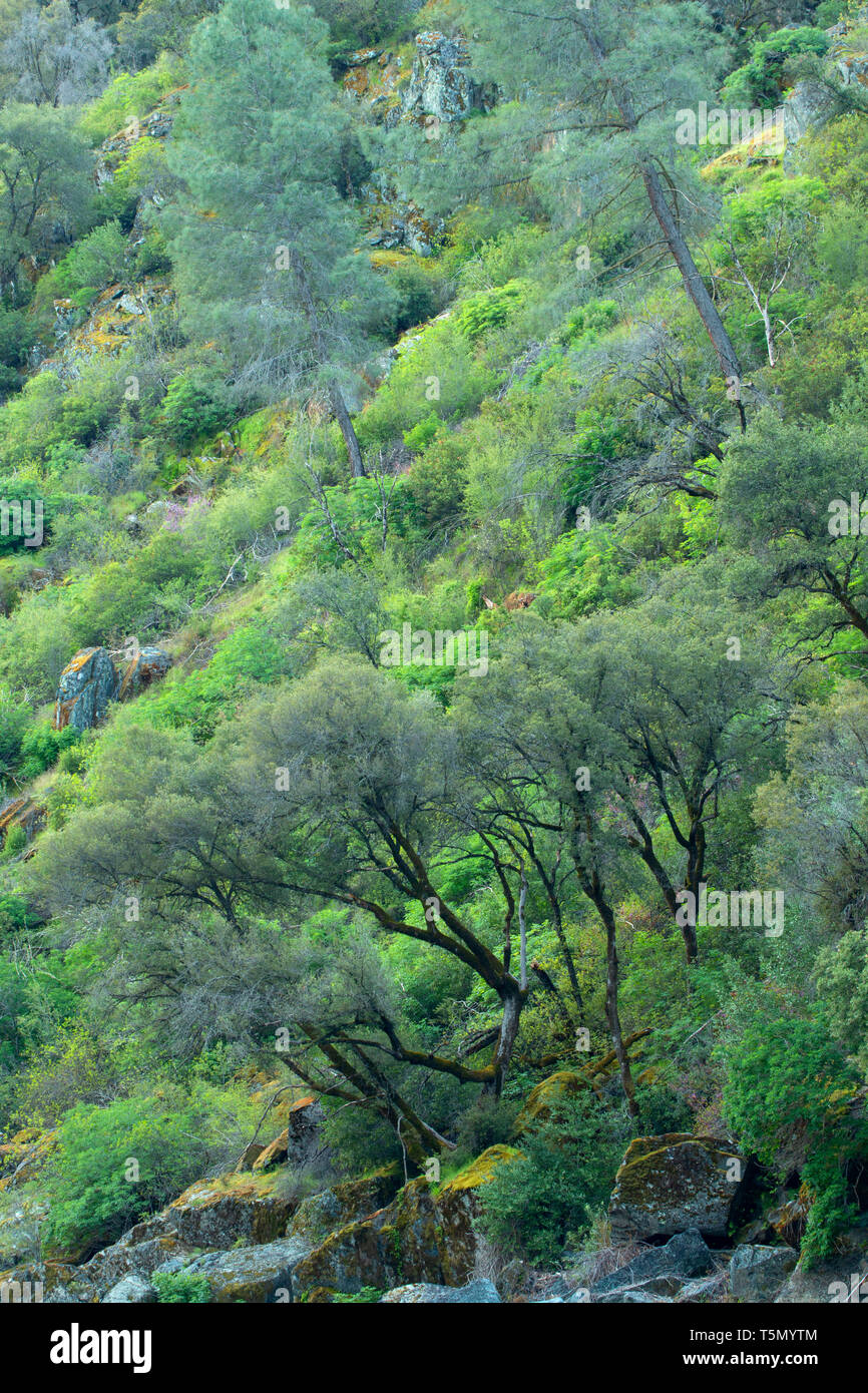 Merced canyon hi-res stock photography and images - Alamy