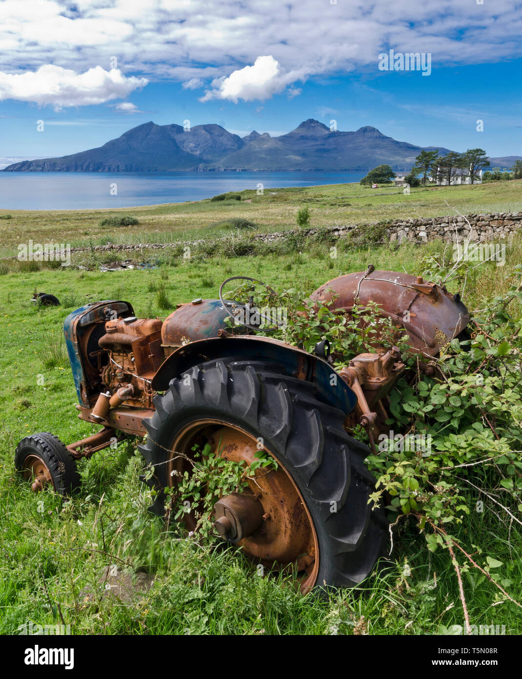 Vintage nuffield tractor hi-res stock photography and images - Alamy