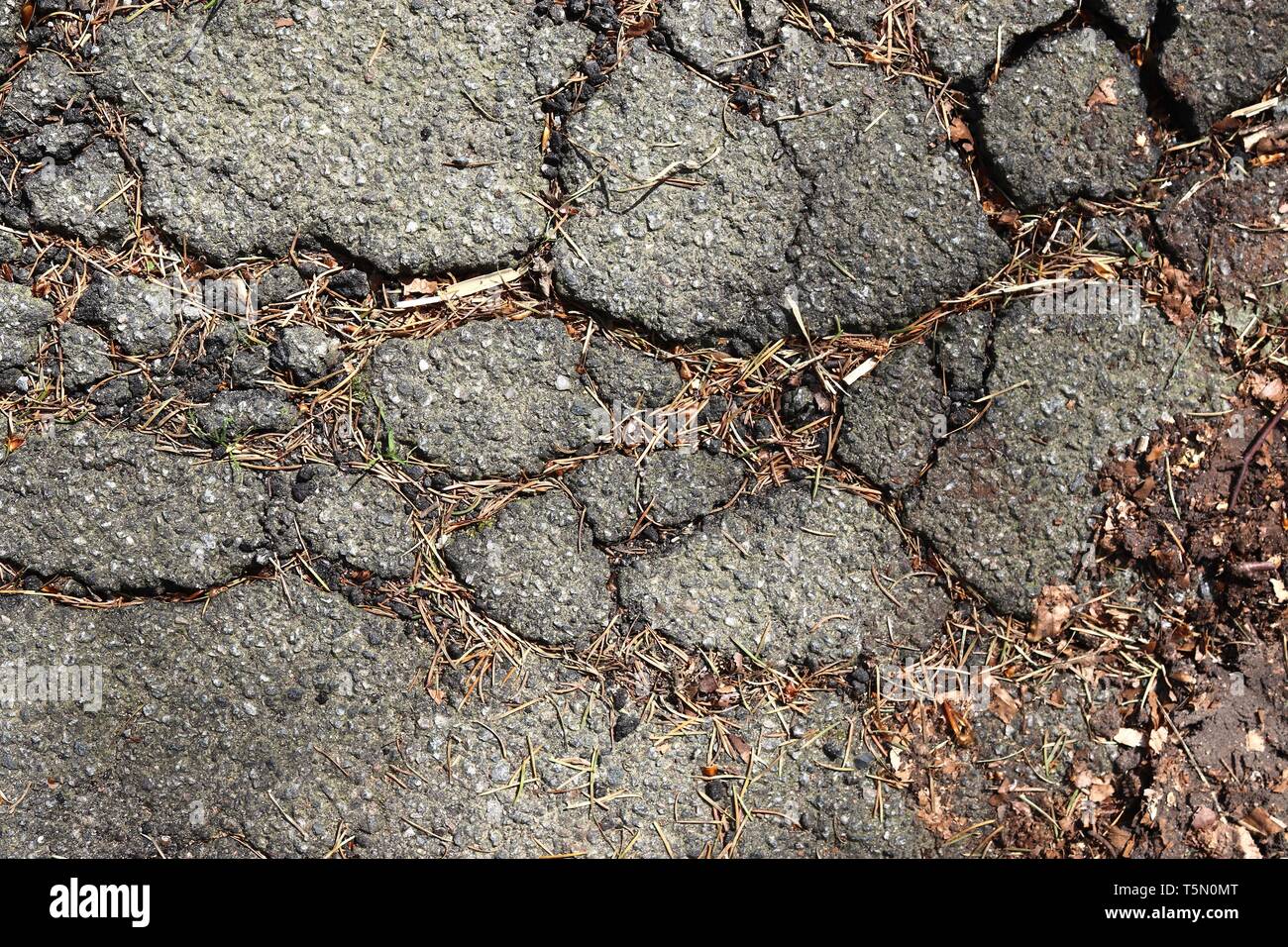 Close up surface of cracked asphalt roads in high resolution Stock ...