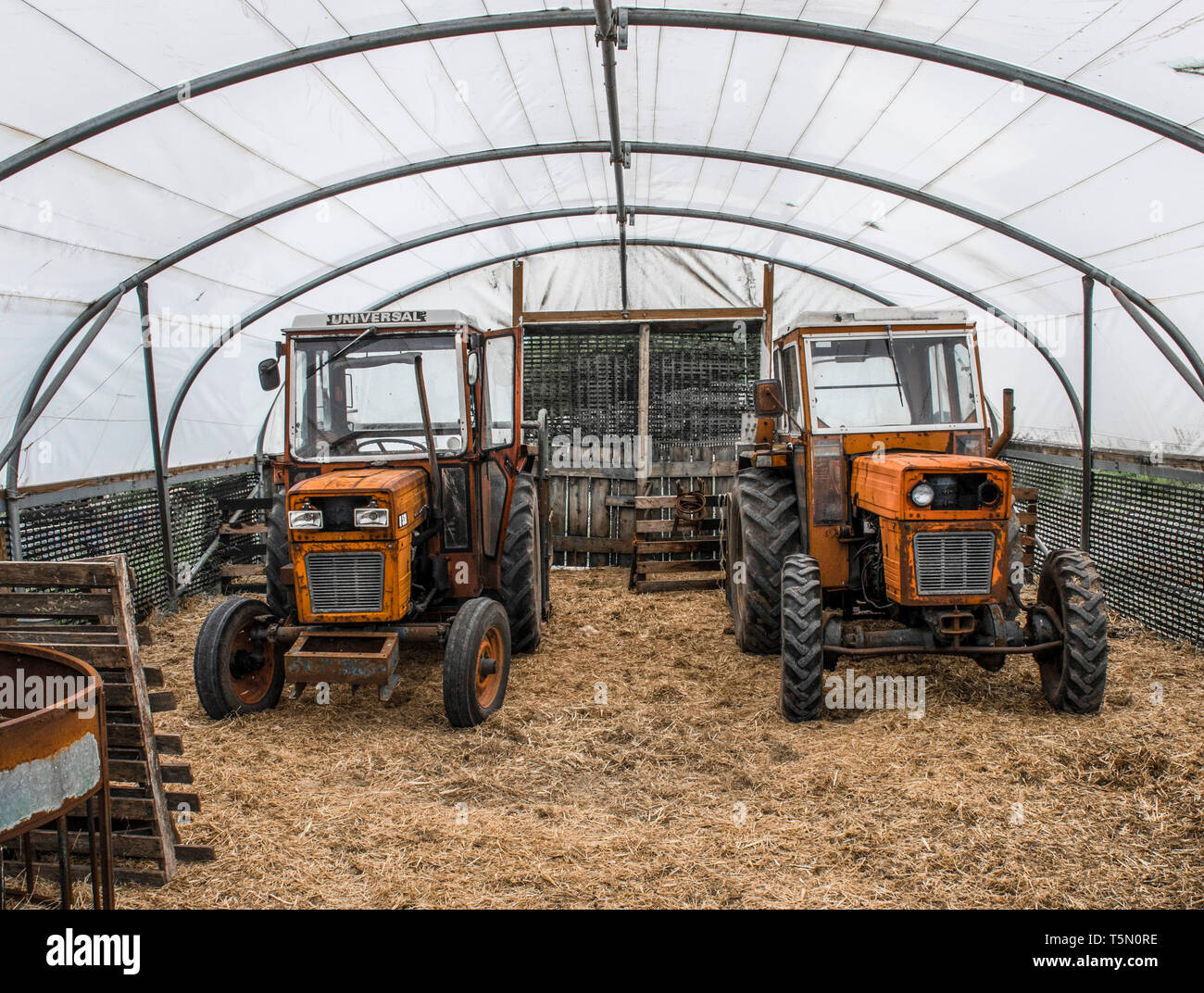 Polytunnel hi-res stock photography and images - Alamy