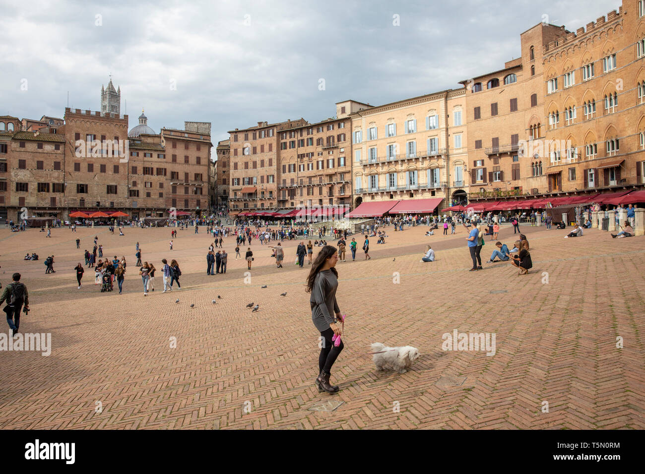 Siena Piazza Del Campo, historic and world heritage fan shaped square ...