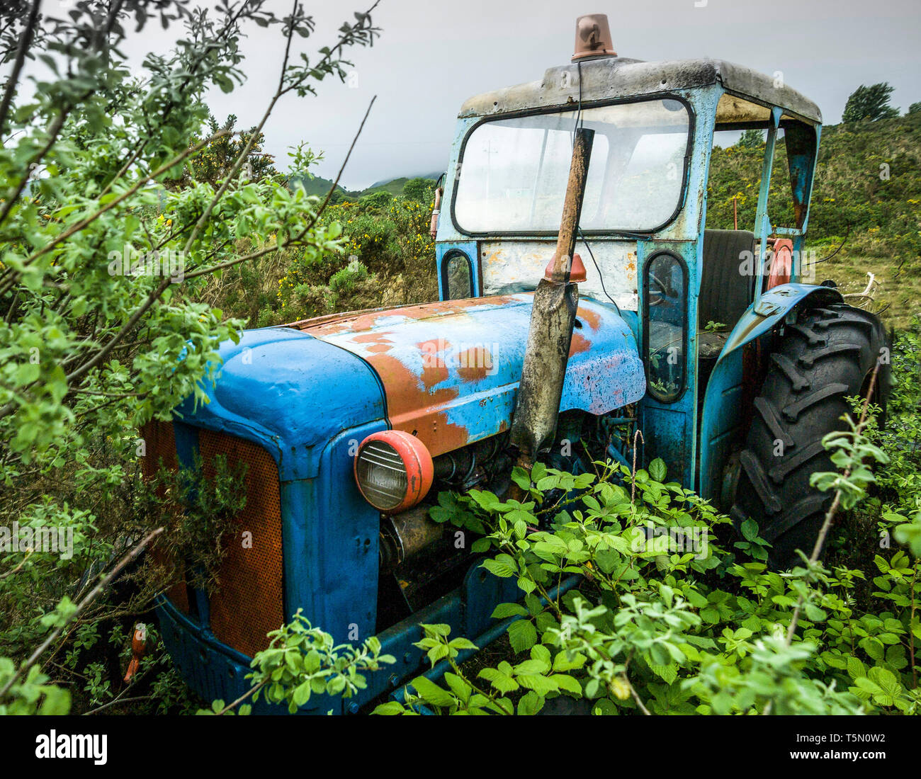 Fordson with cab, Portavadie, Argyll Stock Photo - Alamy
