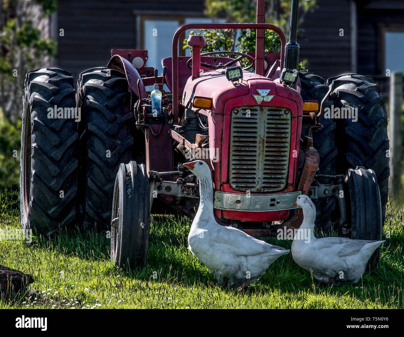 Vintage vintage tractor hi-res stock photography and images - Alamy