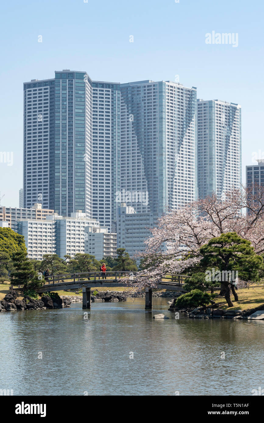 Cherry blossom hama rikyu gardens hamarikyu hi-res stock photography ...