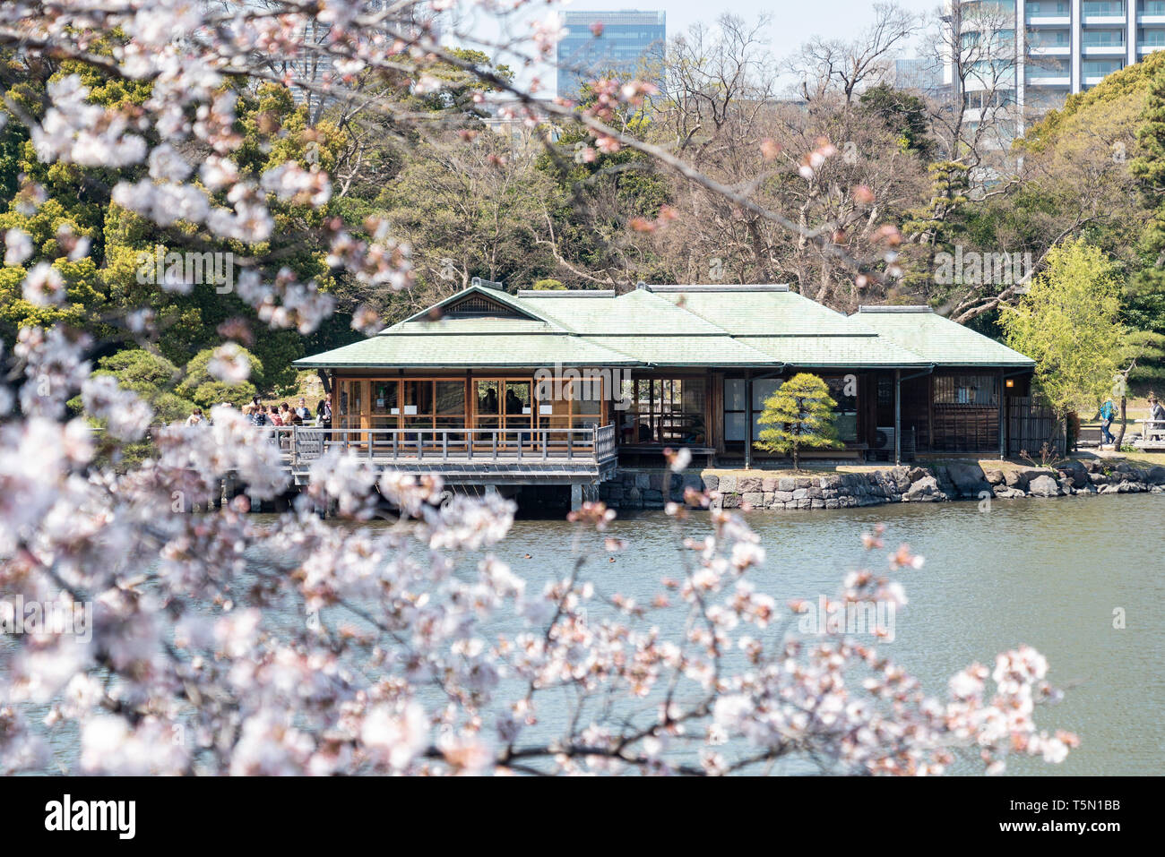 Hamarikyu Gardens, Chuo-Ku, Tokyo, Japan Stock Photo - Alamy