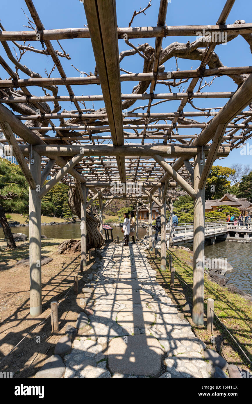 Otsutai bridge hi-res stock photography and images - Alamy