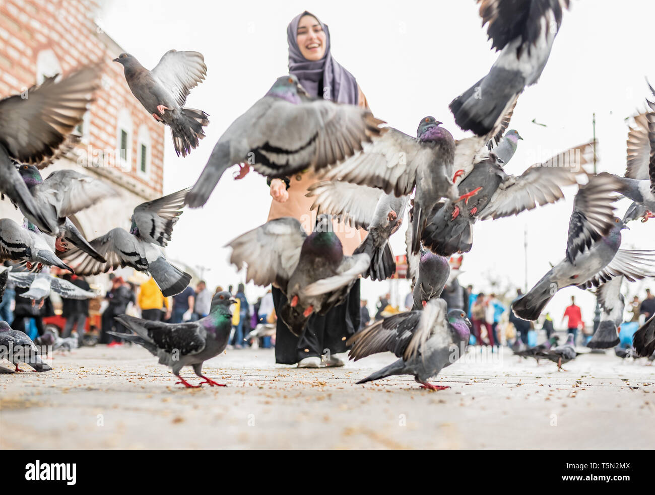 Woman pigeon head hi-res stock photography and images - Alamy