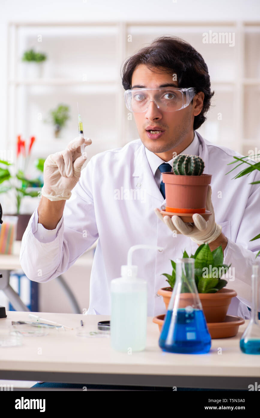 Biotechnology chemist working in lab Stock Photo - Alamy
