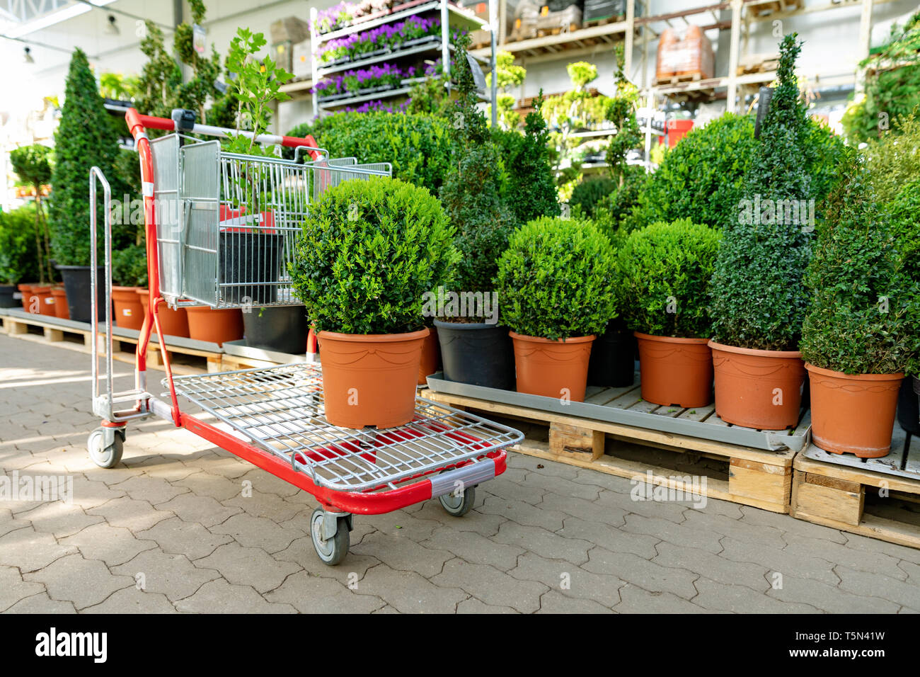 Retail shopping center store hi-res stock photography and images - Alamy