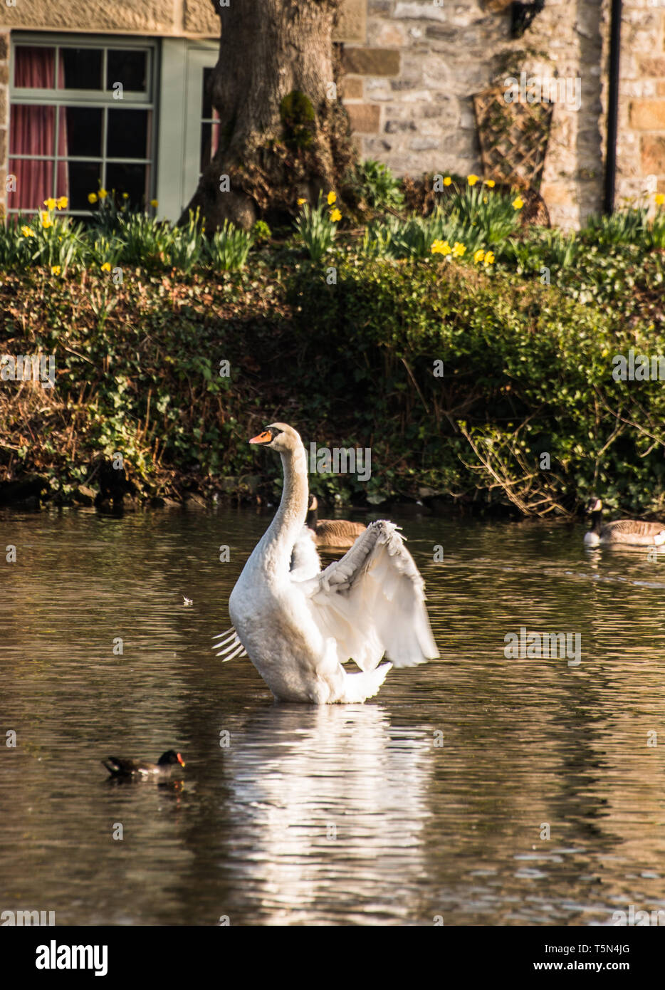 Sean boswell hi-res stock photography and images - Alamy