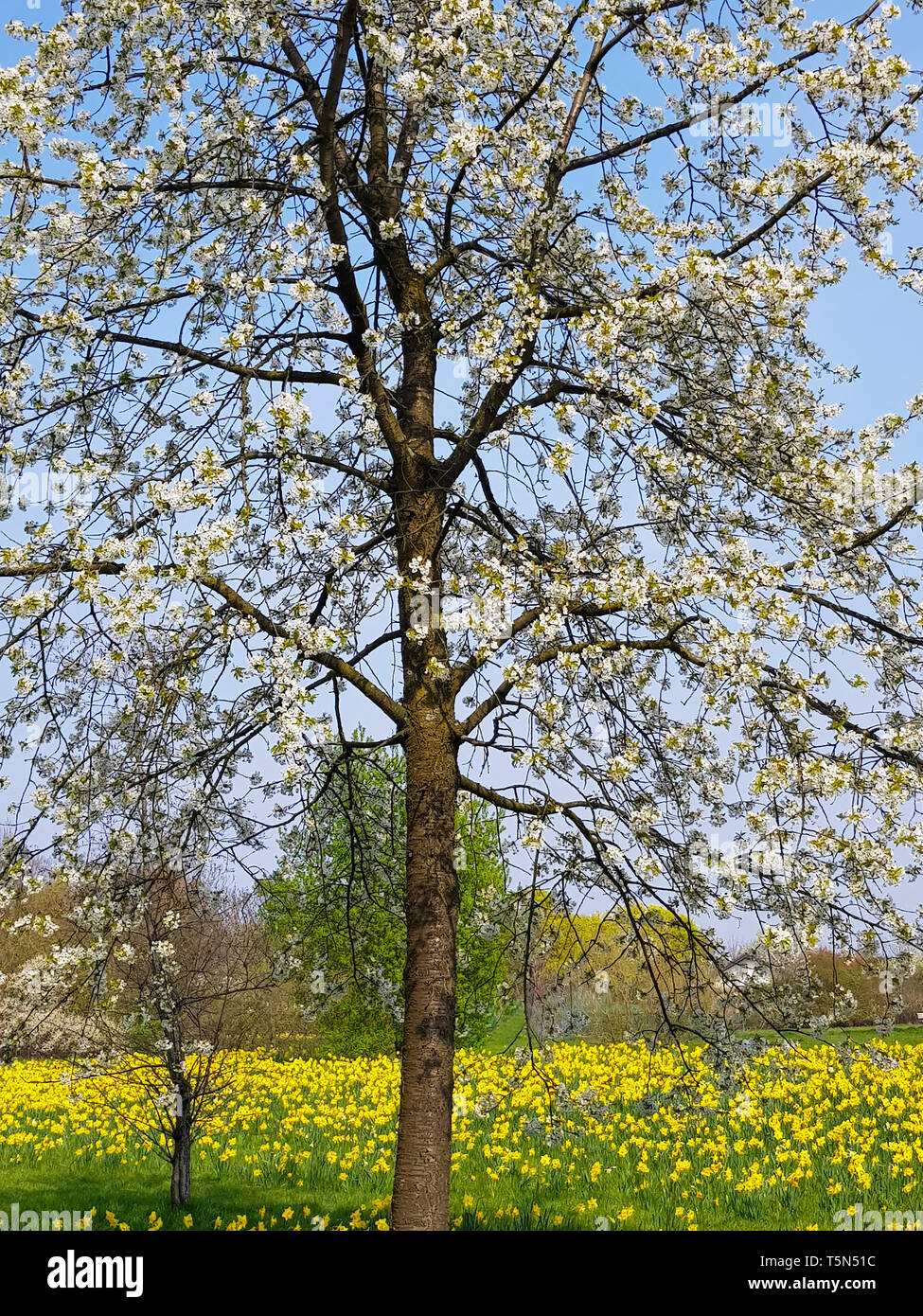 Spring mart hi-res stock photography and images - Alamy