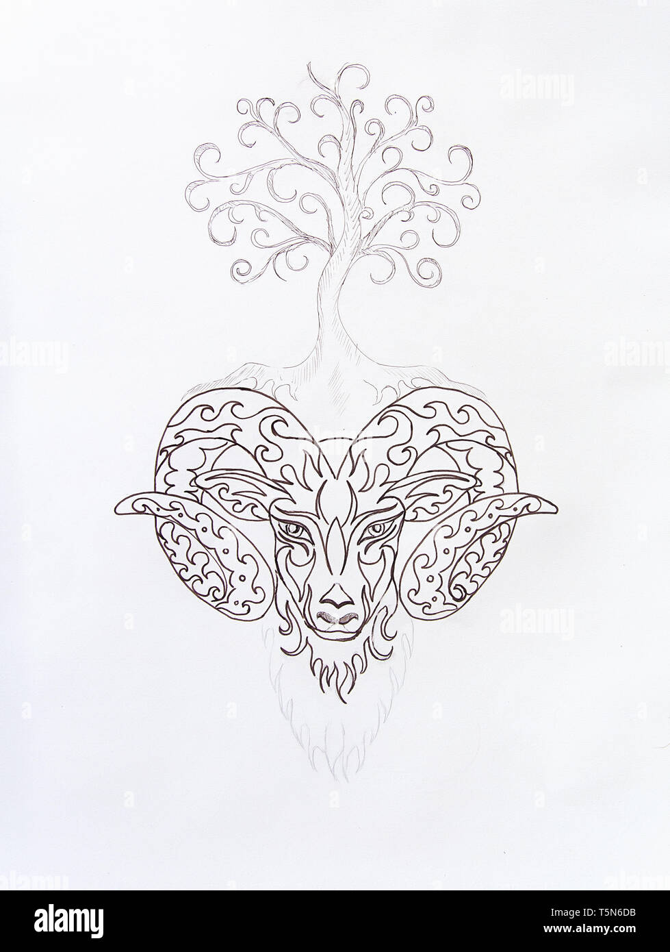 aries symbol with a tree, symbolic linear ornamental drawing Stock ...