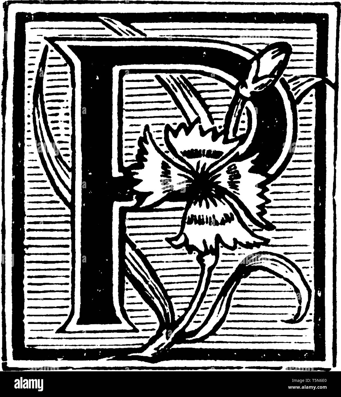 A capital letter P with flowers and lines, vintage line drawing or ...
