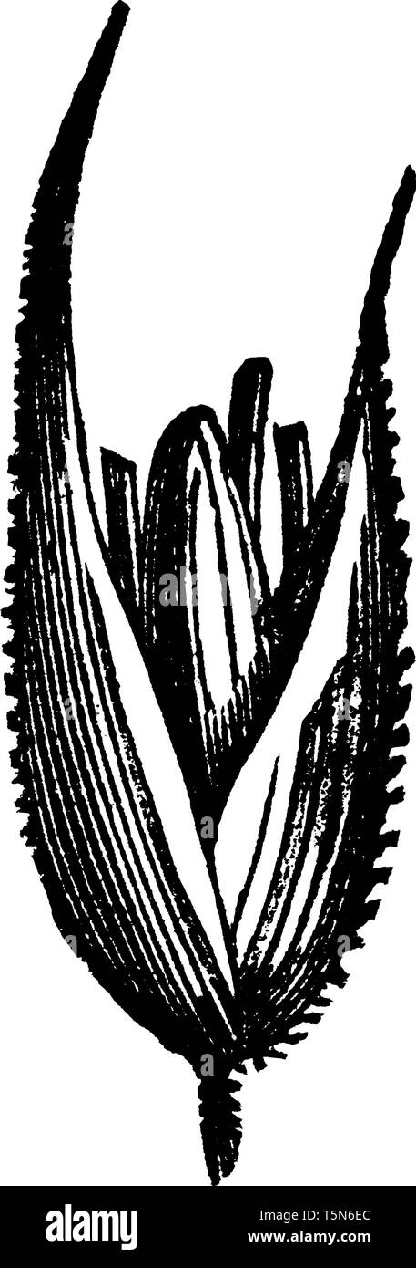 Smoothness Black and White Stock Photos & Images - Alamy