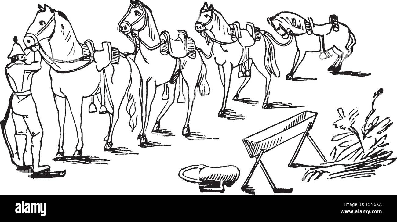 Primary means Stock Vector Images - Alamy