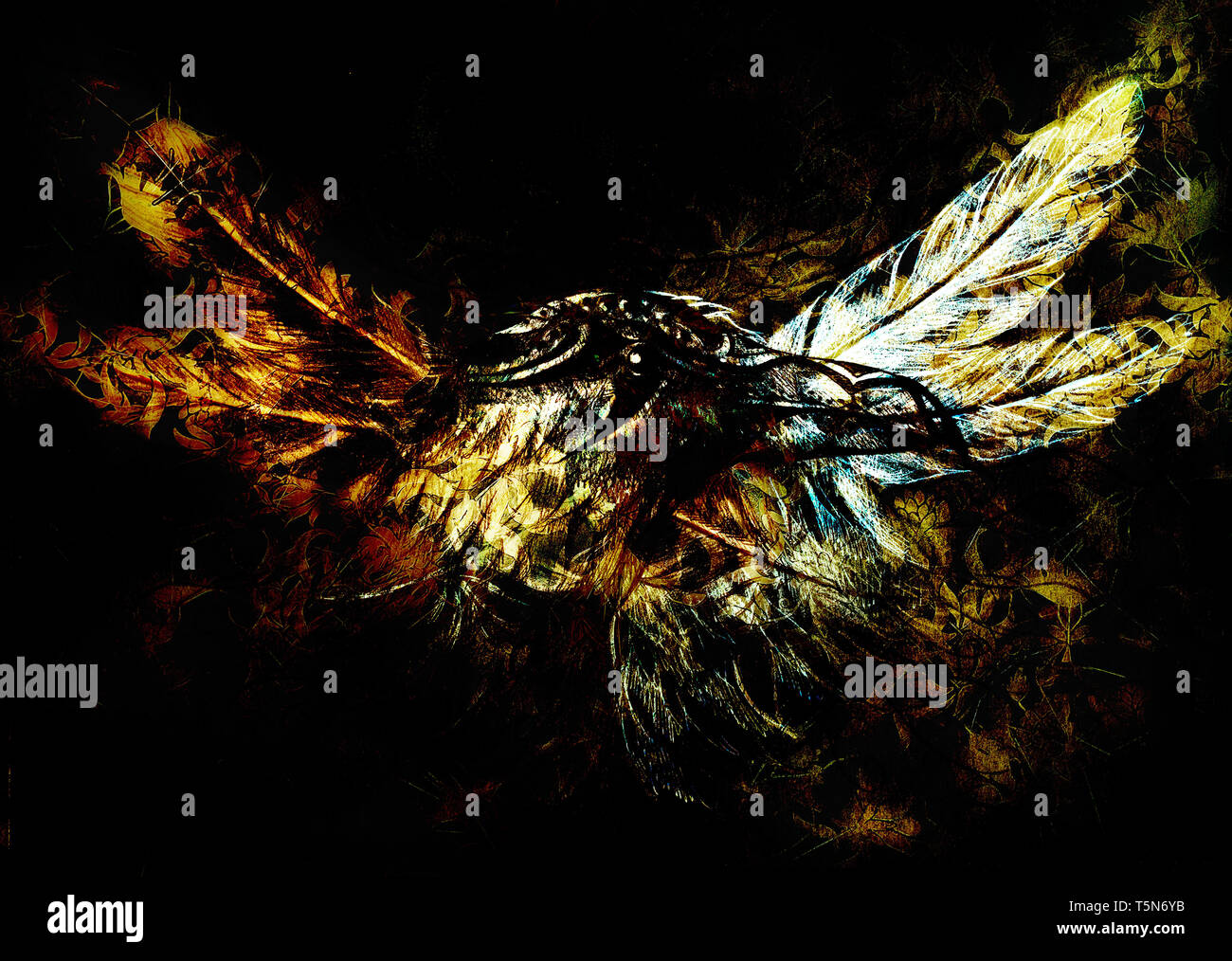 ornamental raven drawing with feathers on paper Stock Photo - Alamy