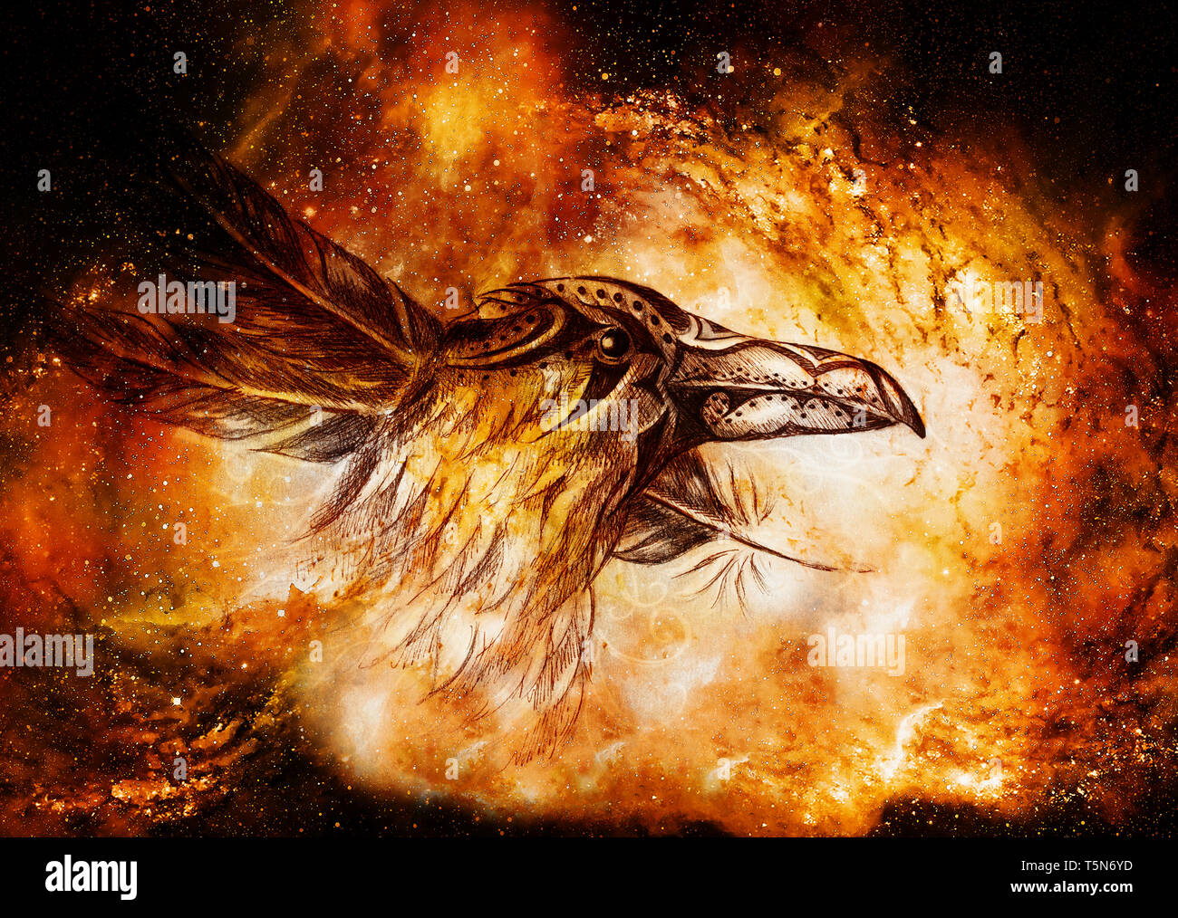 ornamental raven drawing with feathers in cosmic space Stock Photo - Alamy