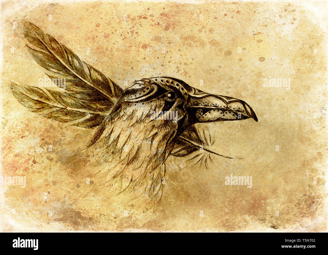 ornamental raven drawing with feathers on paper Stock Photo - Alamy