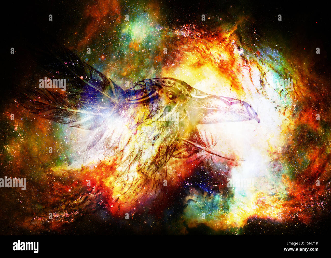 ornamental raven drawing with feathers in cosmic space Stock Photo - Alamy