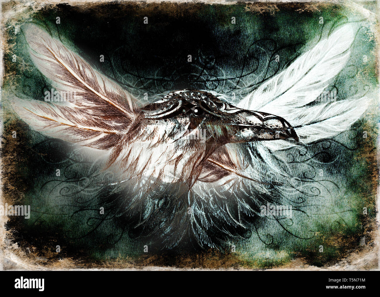 ornamental raven drawing with feathers on paper Stock Photo - Alamy