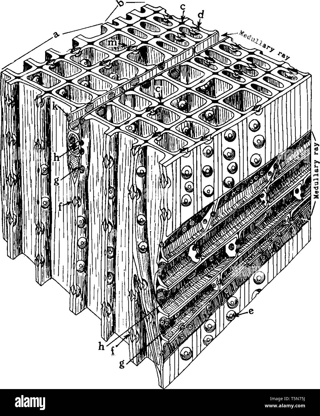 Column types Black and White Stock Photos & Images - Alamy