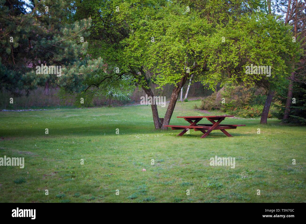 Picnic table under tree hi-res stock photography and images - Alamy