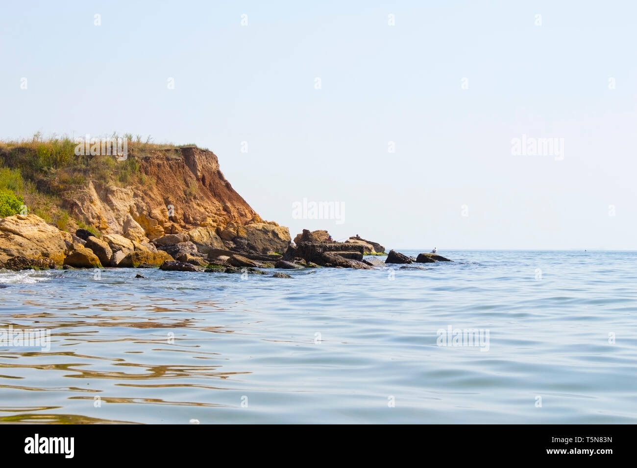 Sea shore with forest under sky. Beautiful landscape with trees on ...