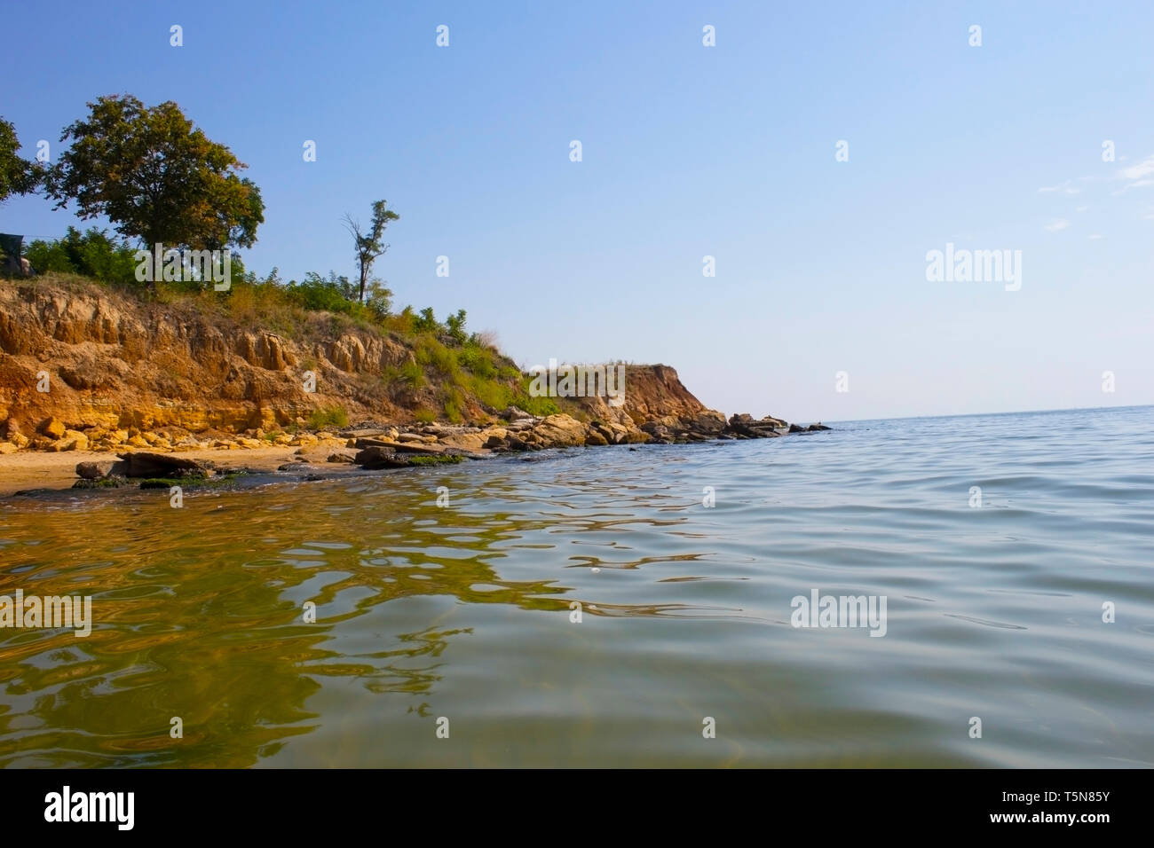Sea shore with forest under sky. Beautiful landscape with trees on ...