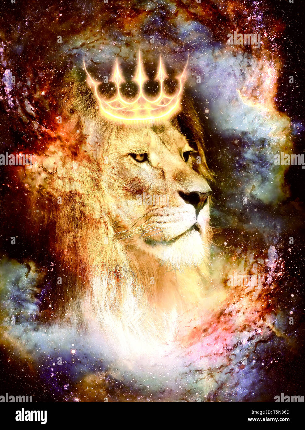 lion king in cosmic space. Lion on cosmic background Stock Photo - Alamy