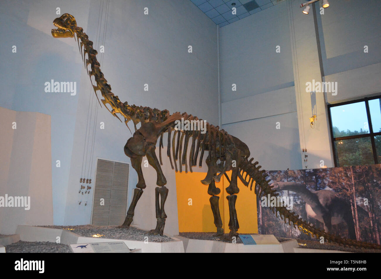 Displays at the National Museum of Natural Science, Taichung (Taiwan ...