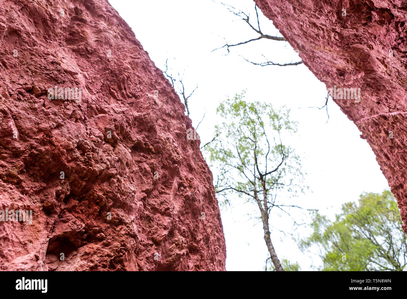 Name tag joe hi-res stock photography and images - Alamy