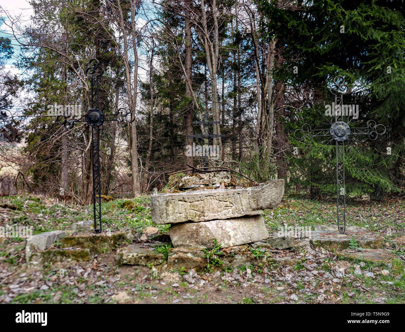 Poland and ukraine border fish hi-res stock photography and images - Alamy