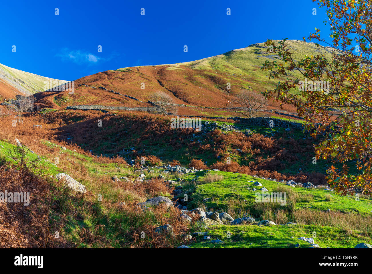 Dovedale valley, Lake District National Park, Cumbria, England, UK ...