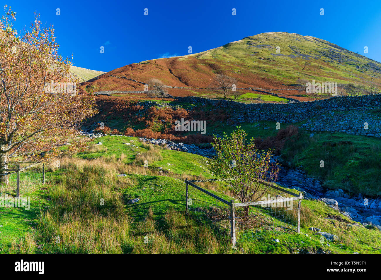 Patterdale cumbria england hi-res stock photography and images - Alamy