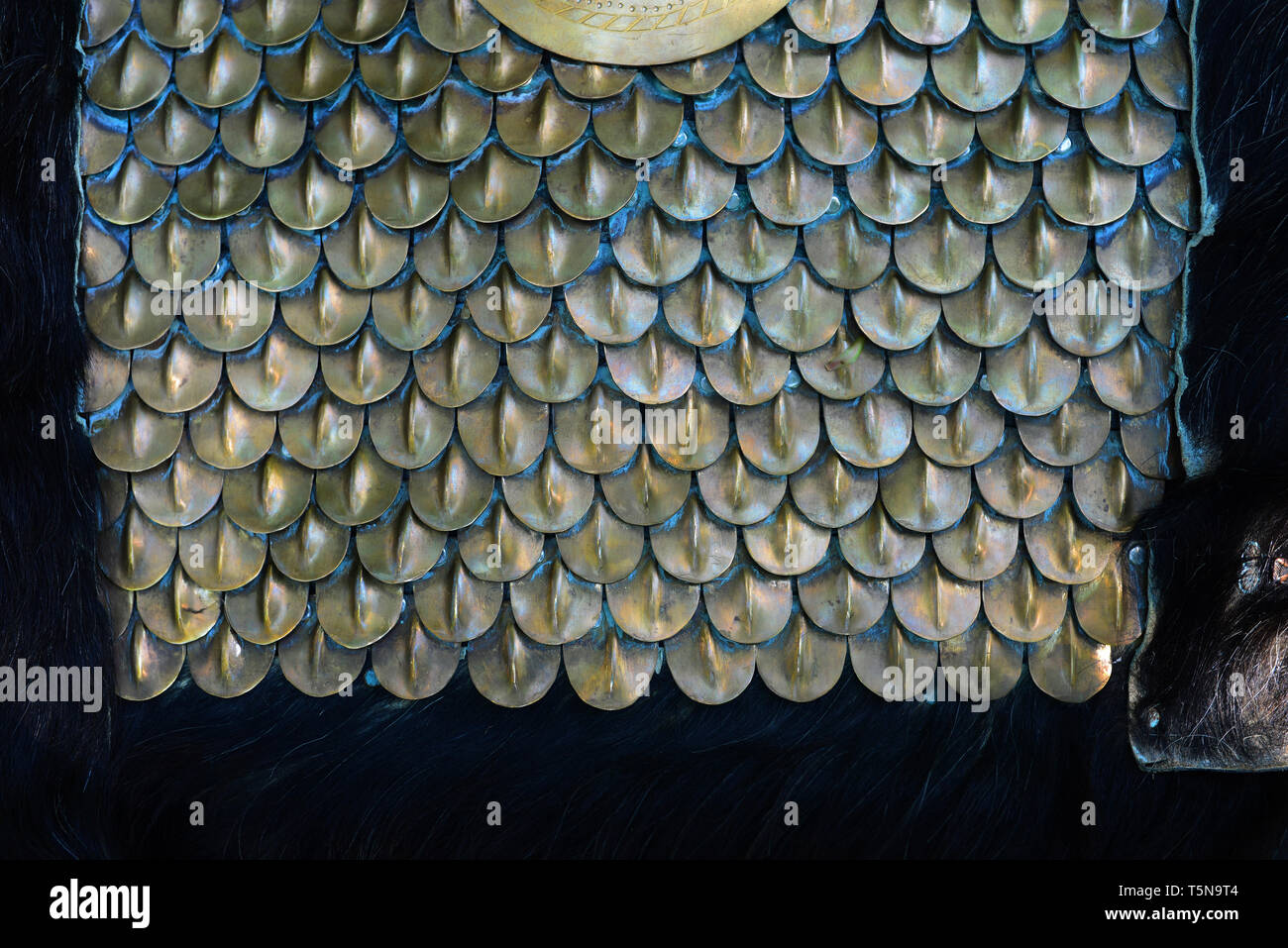 Dacian armour hi-res stock photography and images - Alamy