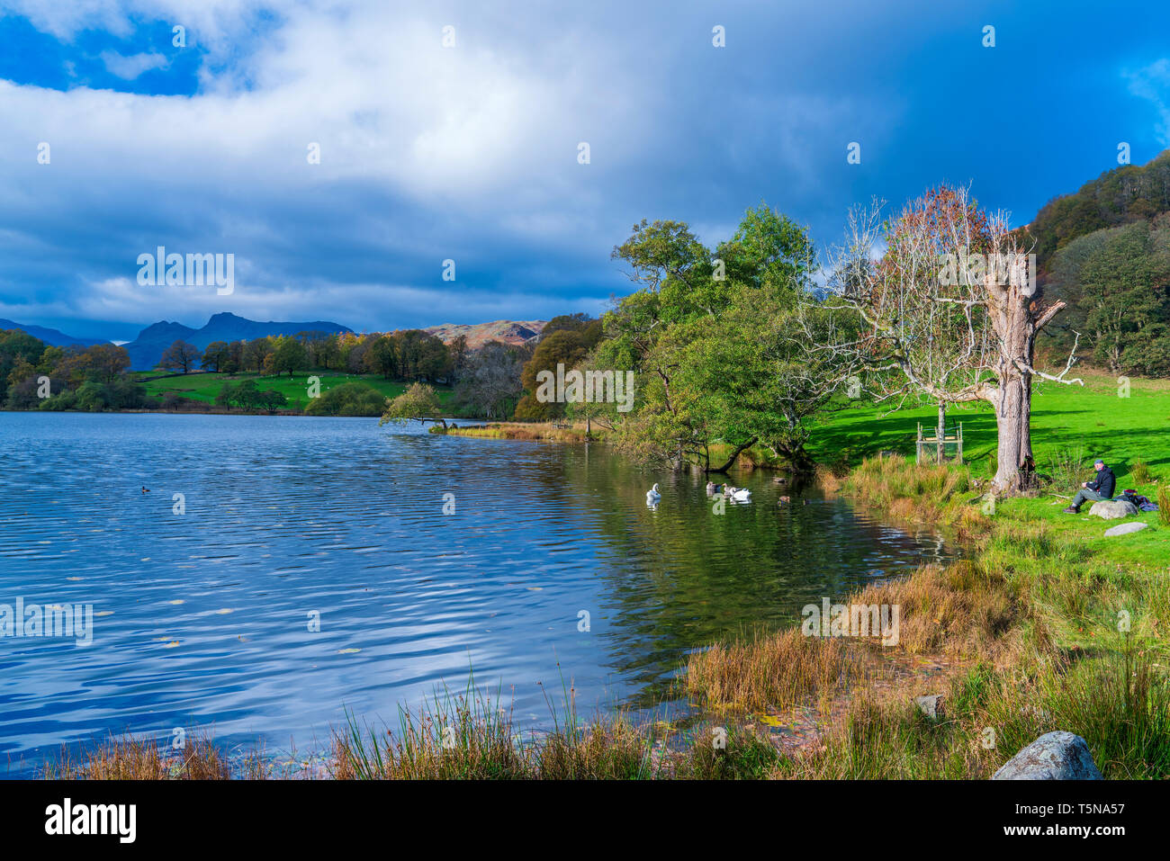 Loughrigg Tarn Elterwater, Lake District National Park, Cumbria ...
