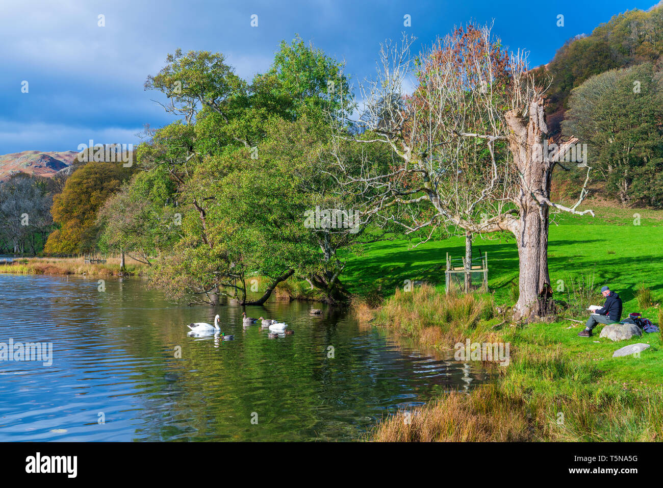 Loughrigg Tarn Elterwater, Lake District National Park, Cumbria ...